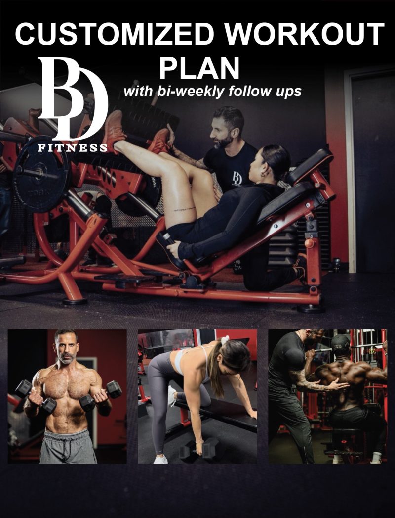 Customized programs in Montreal | Big Daddy Fitness